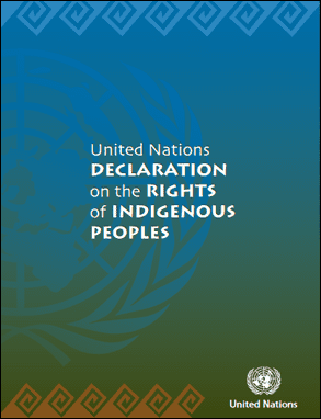 UN Declaration on the Rights of Indigenous Peoples - International ...