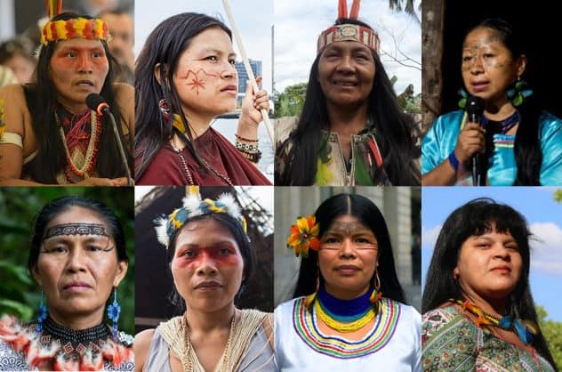 At the Heart of the Amazon: The Living Heroes of Rainforest ...