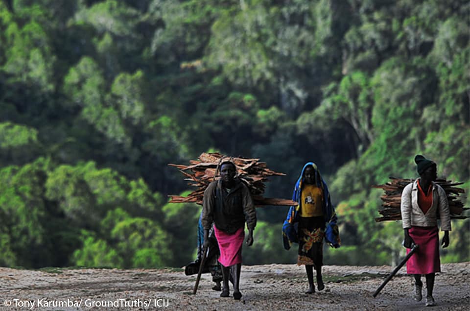 The Struggle of Indigenous Peoples in Defense of Forest and Life ...
