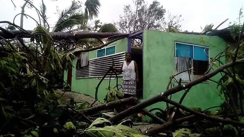 Protect the Environment and Defend IP Rights - International Indigenous ...