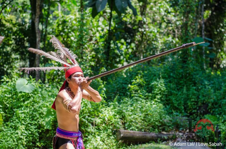 Protecting Biodiversity And Its Guardians Fight For Land And Rights