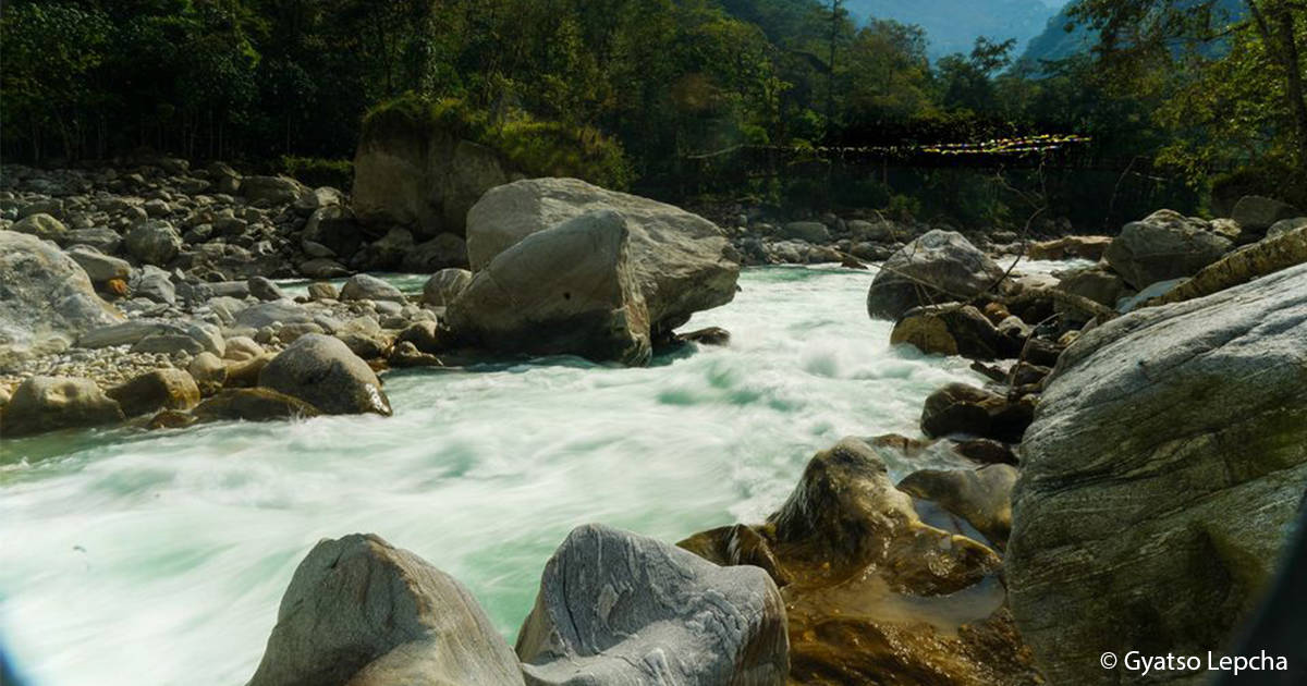 Brave our fight forward, Stop Teesta Dam in Sikkim - International ...
