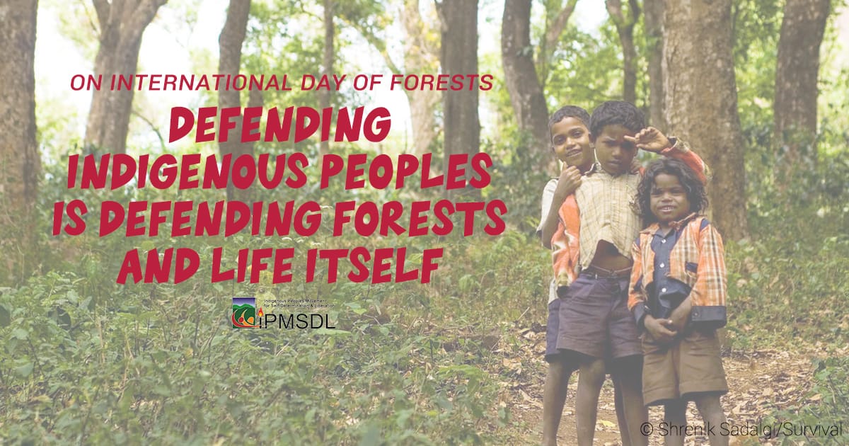 On International Day of Forests: Defending Indigenous Peoples is ...