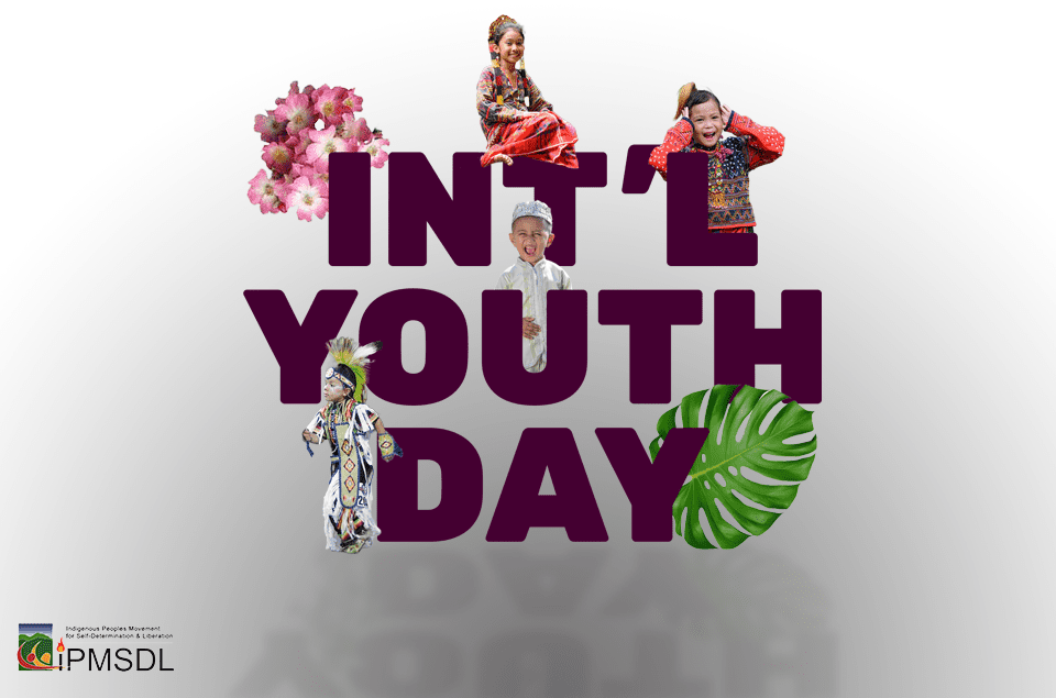 Indigenous Youth: the future of our struggle for land and rights ...