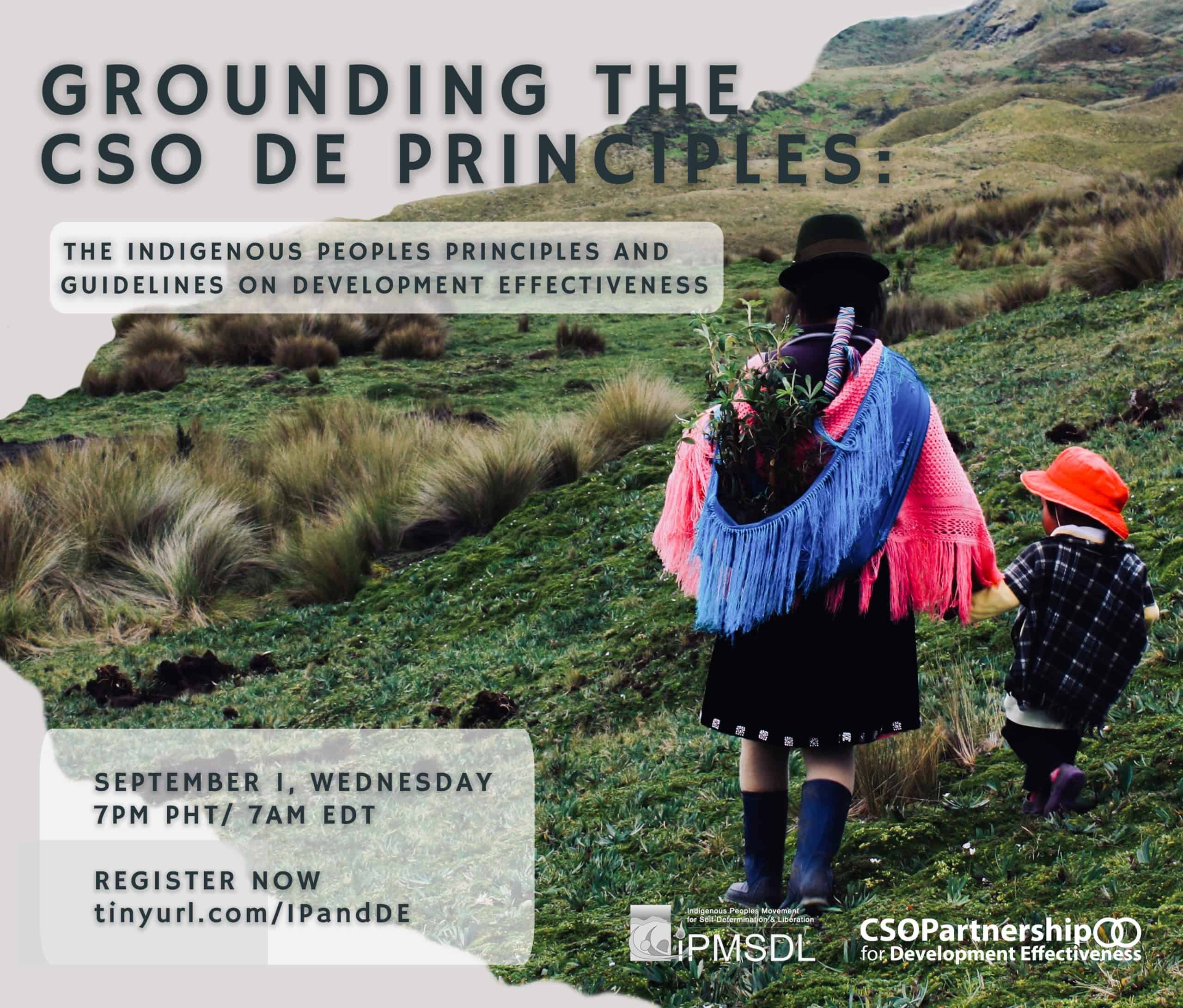 Grounding the CSO DE Principles: The Indigenous Peoples Principles and ...