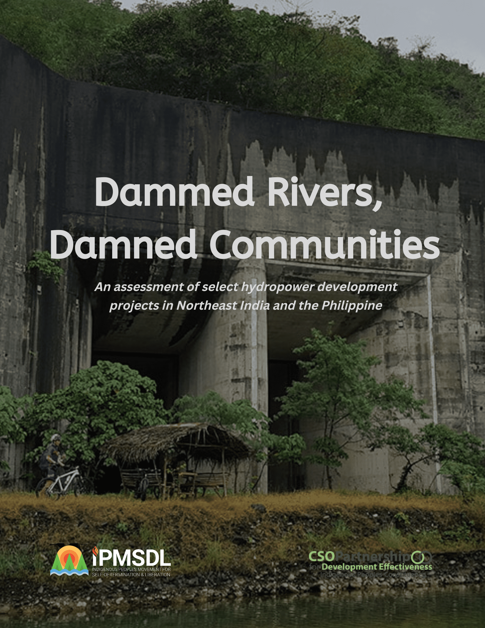 Dammed Rivers, Damned Communities - International Indigenous Peoples ...