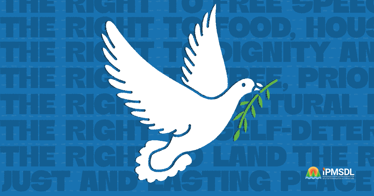 IPMSDL Statement on the 77th Anniversary of the Universal Declaration ...